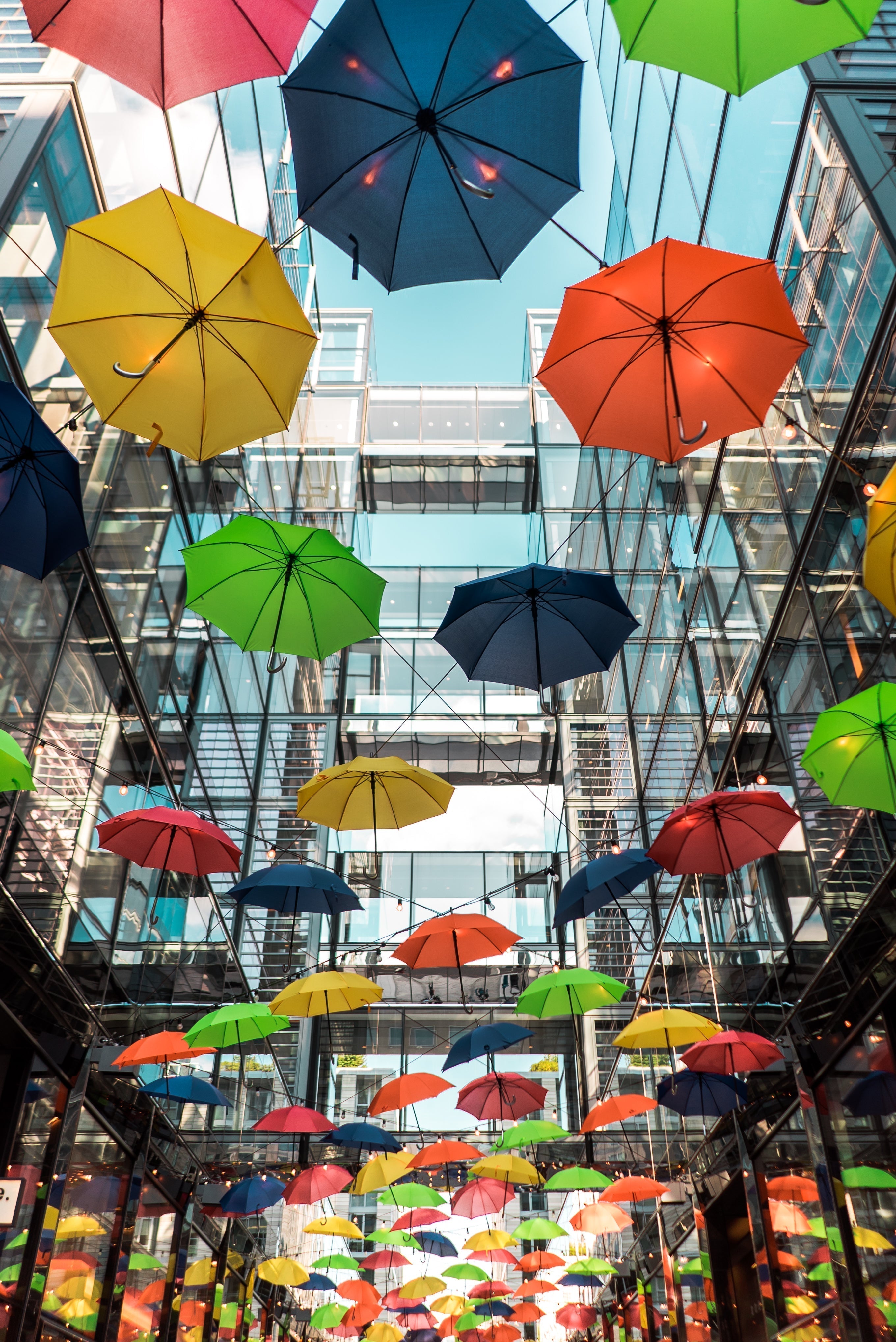 Bubble Umbrellas: See the Rain, Feel the Wonder, Stay Protected ...